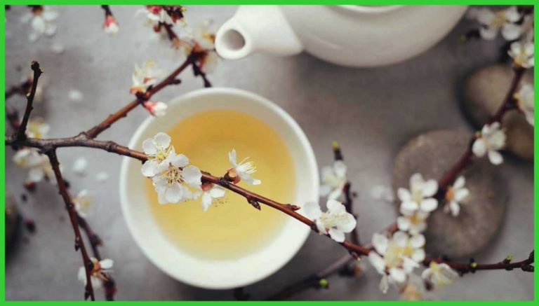 Chá branco: o que é, para que serve, benefícios e receita - Dicas de Saúde