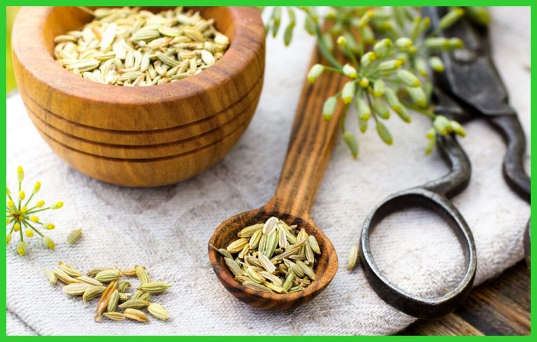 12 Benefícios da erva doce para saúde - Dicas de Saúde